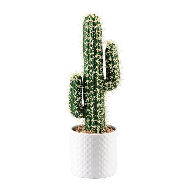 viva domo - Deco-cactus