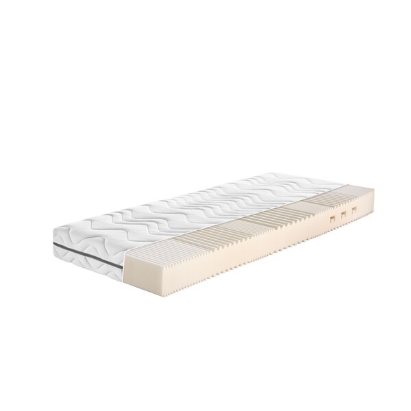 FAN FRANKENSTOLZ - 7-Zonen-Komfortschaumkern-Matratze Proaktiv Flex Top ...