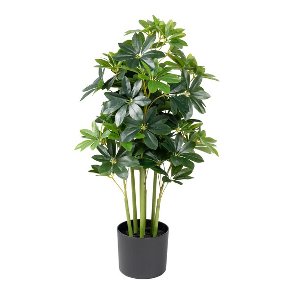 viva domo - Kunstplant "Schefflera"